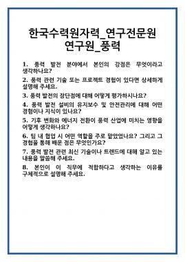 [면접 합격자료] 한국수력원자력_연구전문원 연구원_풍력 면접 질문 및 답변 합격 예문 기출 문항 최종 준비 자료-1페이지