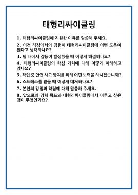 [면접 합격자료] 태형리싸이클링 면접 질문 및 답변 합격 예문 기출 문항 최종 준비 자료-1페이지