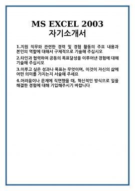 [자기소개서 합격자료] MS EXCEL 2003 자기소개서 합격 자소서 예문 기출 문항 최종 준비 자료-1페이지