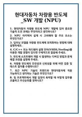 [면접 합격자료] 현대자동차 차량용 반도체_SW 개발 (NPU) 면접 질문 및 답변 합격 예문 기출 문항 최종 준비 자료-1페이지