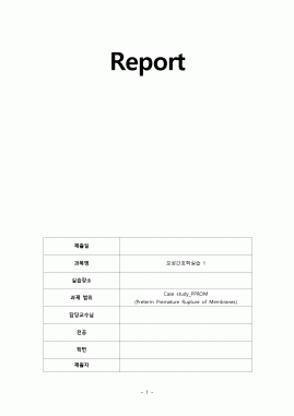 모성간호학실습 case - PPROM만삭전조기양막파열-1페이지