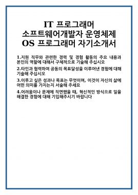 [자기소개서 합격자료] IT 프로그래머 소프트웨어개발자 운영체제OS 자기소개서 합격 자소서 예문 기출 문항 최종 준비 자료-1페이지