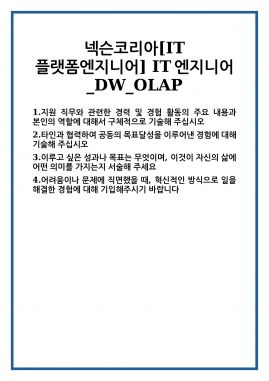 [자기소개서 합격자료] 넥슨코리아[IT플랫폼엔지니어] IT엔지니어_DW_OLAP 합격 자기소개서 자소서 예문 기출 문항 최종 준비 자료-1페이지