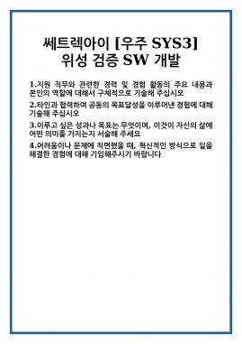[자기소개서 합격자료] 쎄트렉아이 [우주 SYS3] 위성 검증 SW 개발 합격 자기소개서 자소서 예문 기출 문항 최종 준비 자료-1페이지