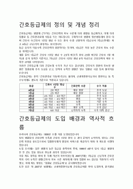 간호등급제의 정의 및 개념 정리-1페이지