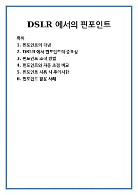 DSLR 에서의 핀포인트-1페이지