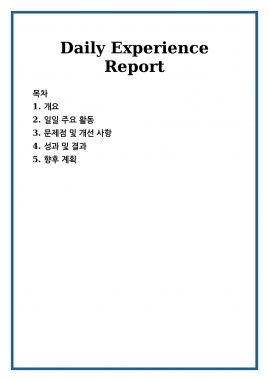 Daily Experience Report-1페이지
