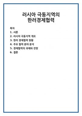 러시아 극동지역의 한러경제협력-1페이지