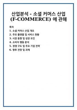 산업분석 - 소셜 커머스 산업(F-COMMERCE) 에 관해-1페이지