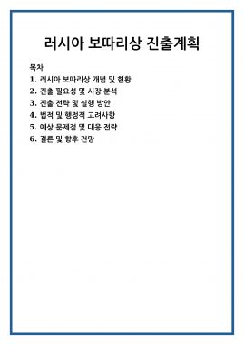 러시아 보따리상 진출계획-1페이지