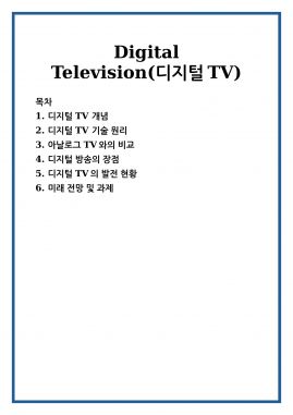 Digital Television(디지털TV)-1페이지