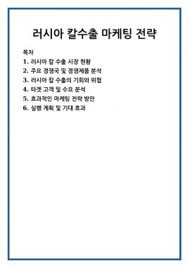 러시아 칼수출 마케팅 전략-1페이지