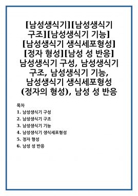 [남성생식기][남성생식기 구조][남성생식기 기능][남성생식기 생식세포형성][정자 형성][남성 성 반응]남성생식기 구성, 남성생식기 구조, 남성생식기 기능, 남성생식기 생식세포형성(정자의 형성), 남성 성 반응-1페이지