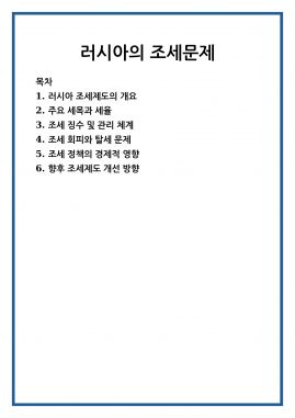 러시아의 조세문제-1페이지