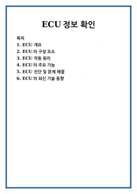 ECU정보 확인 레포트 자료-1페이지
