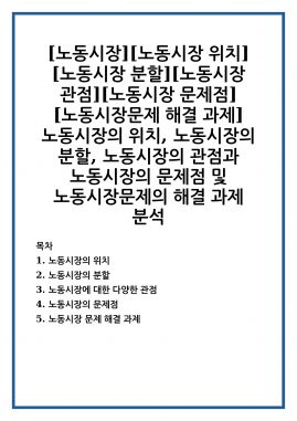 [노동시장][노동시장 위치][노동시장 분할][노동시장 관점][노동시장 문제점][노동시장문제 해결 과제]노동시장의 위치, 노동시장의 분할, 노동시장의 관점과 노동시장의 문제점 및 노동시장문제의 해결 과제 분석-1페이지