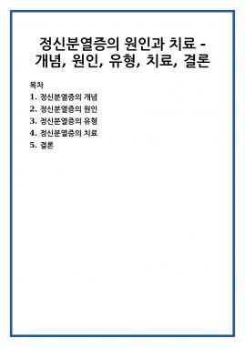 정신분열증의 원인과 치료 - 개념, 원인, 유형, 치료, 결론-1페이지