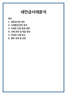 새만금사레분석-1페이지