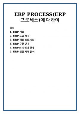 ERP PROCESS(ERP 프로세스)에 대하여-1페이지