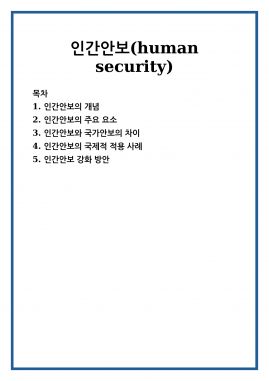 인간안보(human security)-1페이지