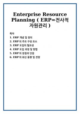 Enterprise Resource Planning ( ERP=전사적 자원관리 )-1페이지