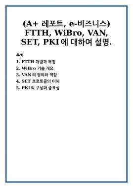 (레포트, e-비즈니스) FTTH, WiBro, VAN, SET, PKI에 대하여 설명.-1페이지
