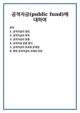 공적자금(public fund)에 대하여-1페이지