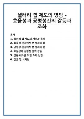 샐러리 캡 제도의 명암 - 효율성과 공평성간의 갈등과 조화-1페이지