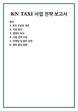 KN TAXI 사업 전략 보고서-1페이지