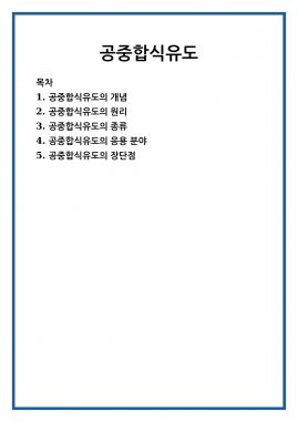 공중합식유도-1페이지