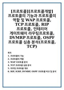 [프로토콜][프로토콜개발]프로토콜의 기능과 프로토콜의 역할 및 WAP프로토콜, TCP프로토콜, RIP프로토콜, 인테리어 게이트웨이 라우팅프로토콜, DVMRP프로토콜, OSPF프로토콜 심층 분석(프로토콜, TCP)-1페이지