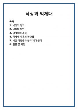 낙상과 억제대-1페이지
