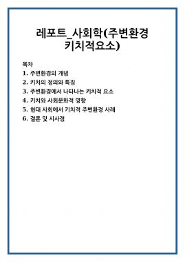 레포트_사회학(주변환경 키치적요소)-1페이지