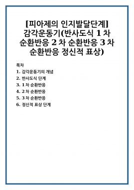 [피아제의 인지발달단계] 감각운동기(반사도식 1차 순환반응 2차 순환반응 3차 순환반응 정신적 표상)-1페이지