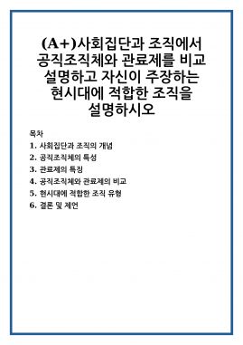 사회집단과 조직에서 공직조직체와 관료제를 비교 설명하고 자신이 주장하는 현시대에 적합한 조직을 설명하시오-1페이지
