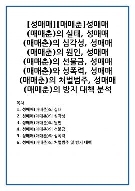 [성매매][매매춘]성매매(매매춘)의 실태, 성매매(매매춘)의 심각성, 성매매(매매춘)의 원인, 성매매(매매춘)의 선불금, 성매매(매매춘)와 성폭력, 성매매(매매춘)의 처벌범주, 성매매(매매춘)의 방지 대책 분석-1페이지
