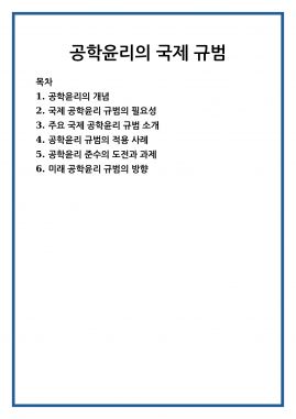 공학윤리의 국제 규범-1페이지