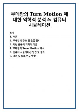 부메랑의 Turn Motion 에 대한 역학적 분석 & 컴퓨터 시뮬레이션-1페이지