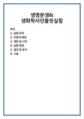 생명분생&생화학서던블랏실험-1페이지