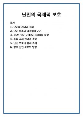 난민의 국제적 보호-1페이지