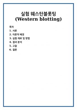 실험 웨스턴블롯팅 (Western blotting)-1페이지