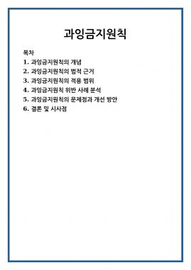 과잉금지원칙-1페이지