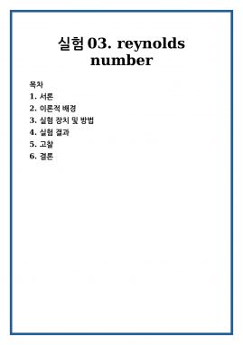 실험03. reynolds number-1페이지