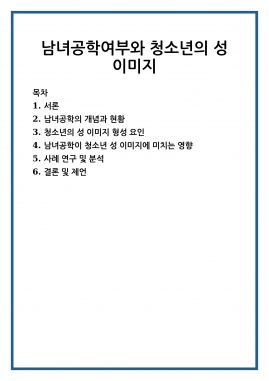 남녀공학여부와 청소년의 성 이미지-1페이지