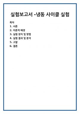 실험보고서 -냉동 사이클 실험-1페이지