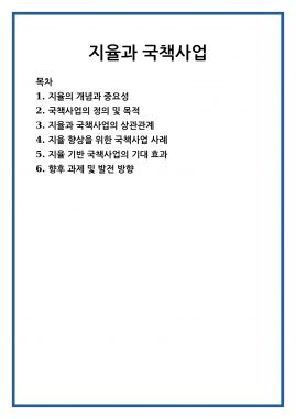 지율과 국책사업-1페이지