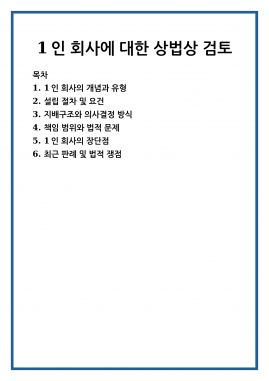 1인 회사에 대한 상법상 검토-1페이지
