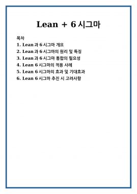 Lean + 6시그마 레포트 자료-1페이지