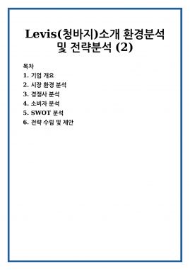 Levis(청바지)소개 환경분석 및 전략분석 (2)-1페이지