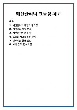 예산관리의 효율성 제고-1페이지